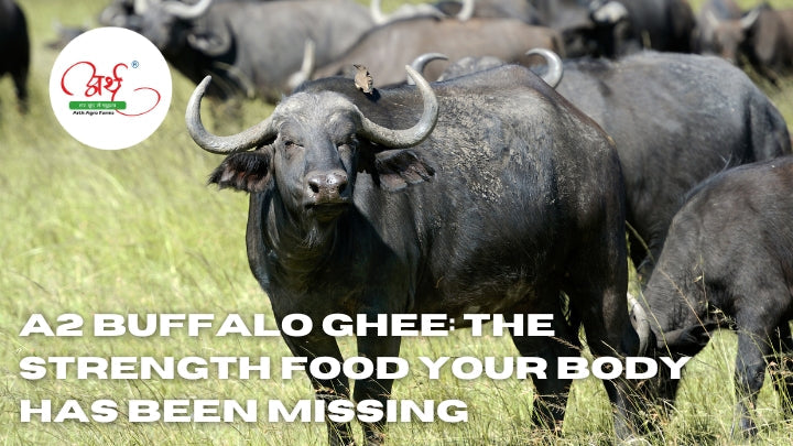 A2 Buffalo Ghee: The Strength Food Your Body Has Been Missing – Arth ...