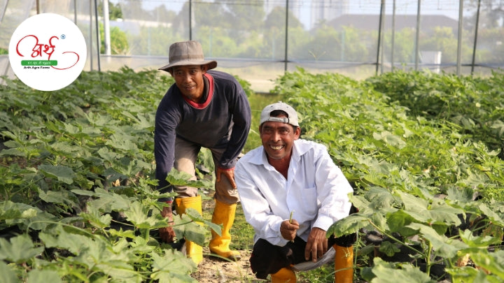 The Future of Organic Farming – How Arth Agro Farms is Reviving ...